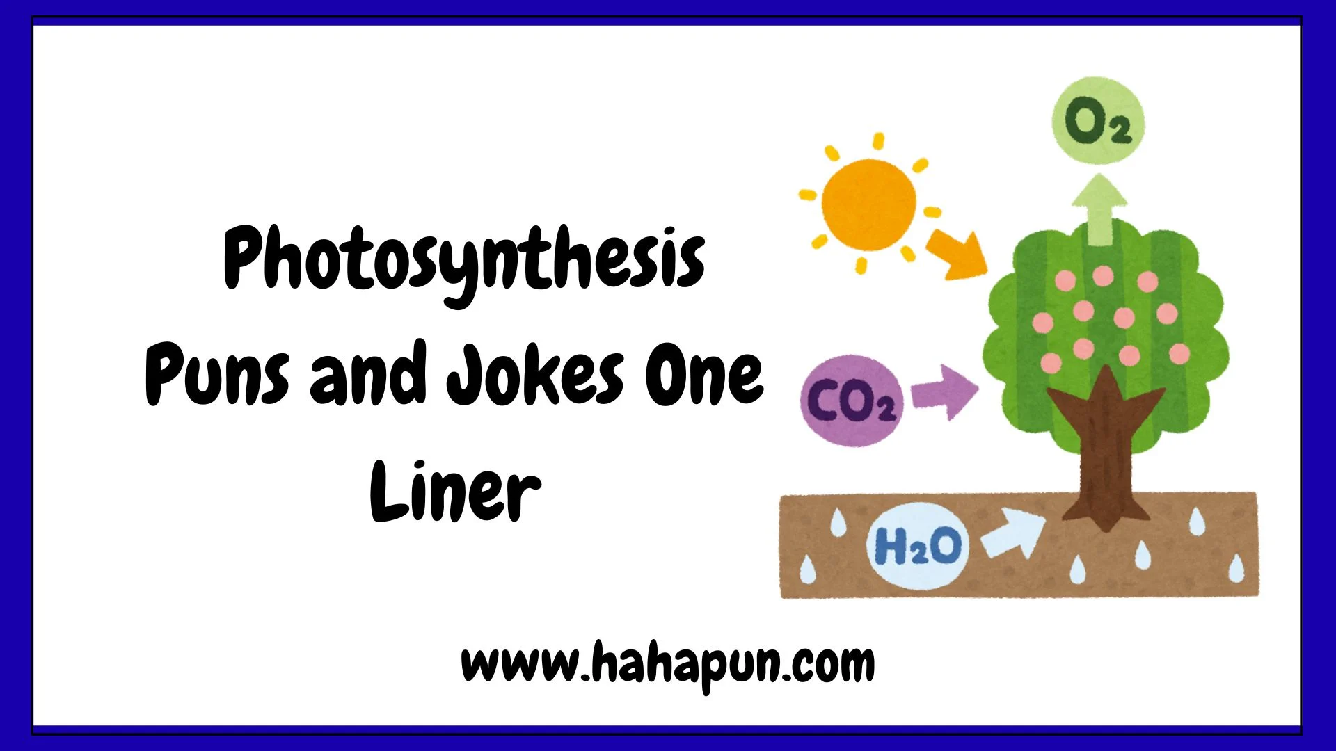 Photosynthesis Puns and Jokes One Liner